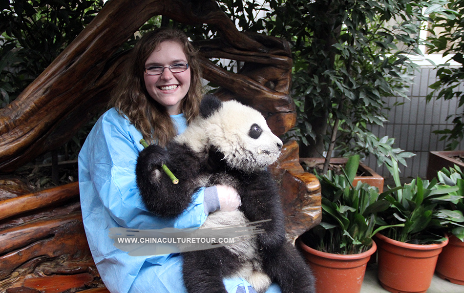 Ancient China Tour Plus Panda and Tibet by Train