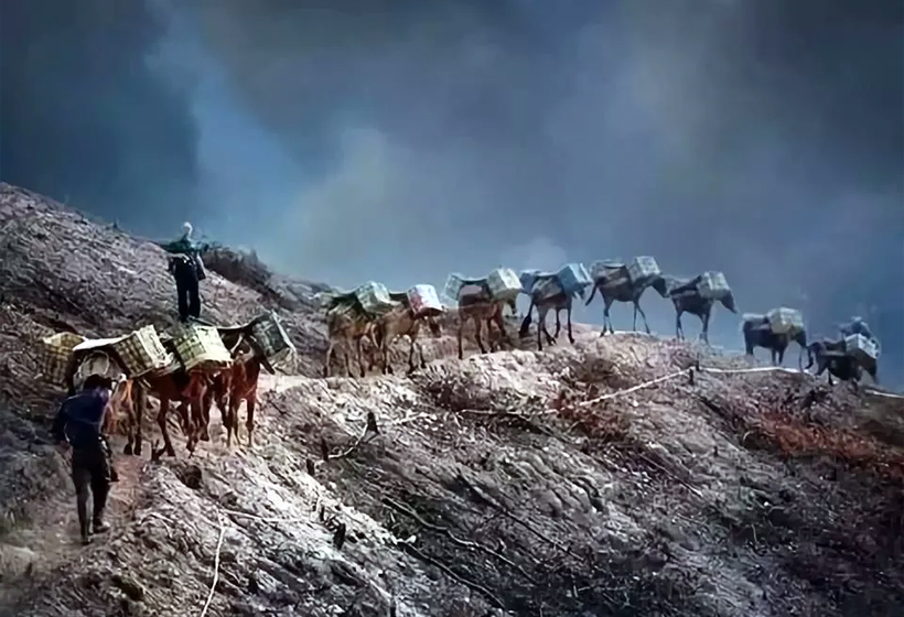 Best Central Asia/China Silk Road Adventure Travel Tours